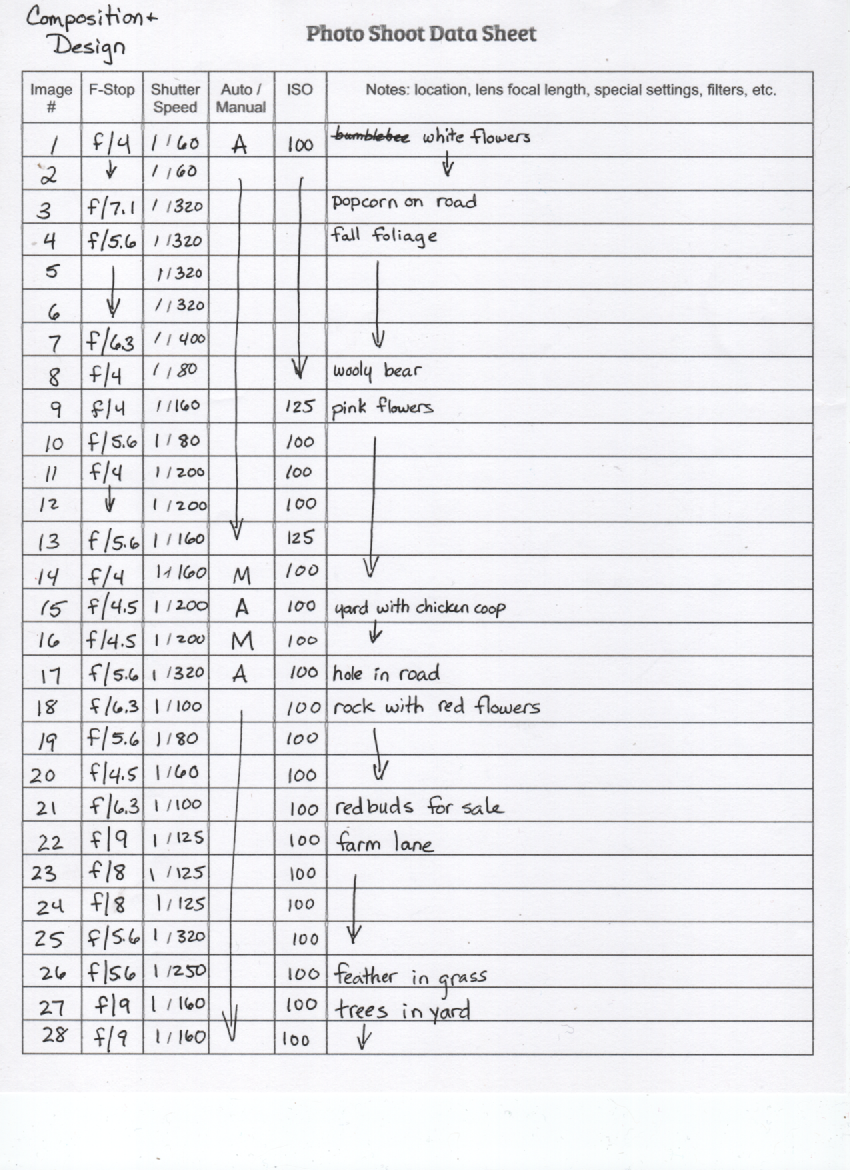 Photo Data Sheets for Composition & Design | Gwendolyn Wright